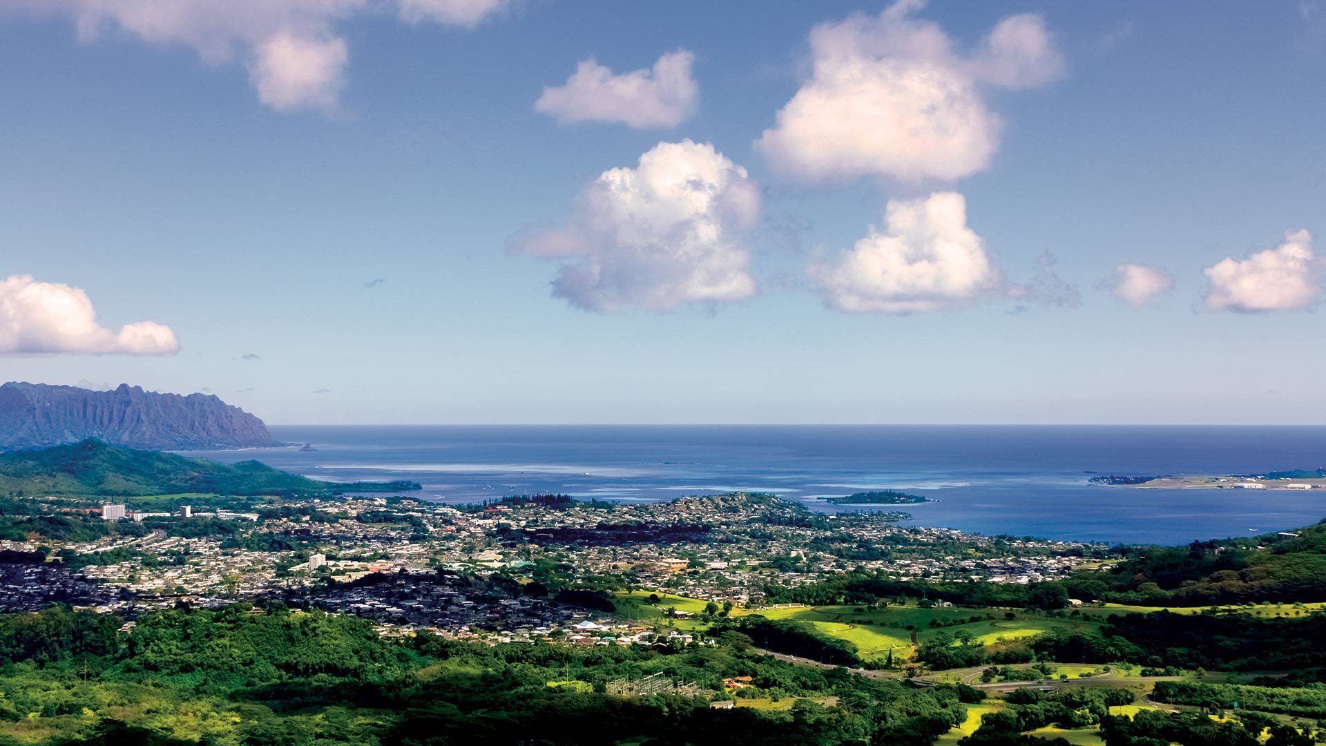 Gilson Daub – Incredible Attorneys, Responsive Staff, Amazing Technology